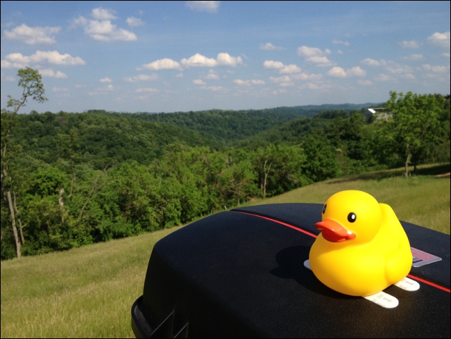 My Hi-Viz Safety Duck – MeisterPlanet